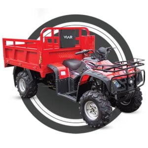 Viar VXT 300 - Motor Viar